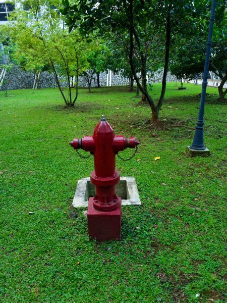 Get Professional Yard Hydrant Installation
