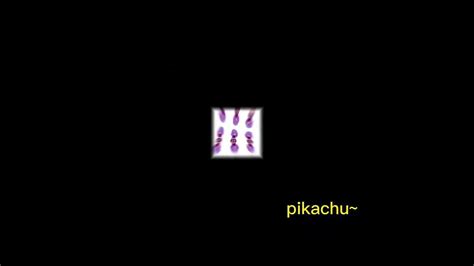 Pikapi Pikachu Youtube
