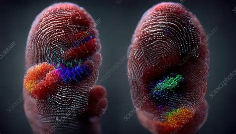 Dna Profiling Conceptual Illustration Stock Image C0564519