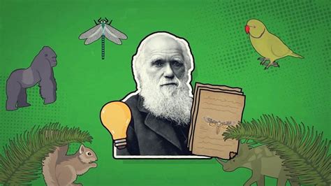 Charles Darwins Theory Of Evolution Explained Bbc Ideas Darwin Theory Theory Of Evolution