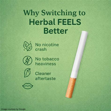 Herbal Cigarettes Are They Safe Health Effects And Risks Explained