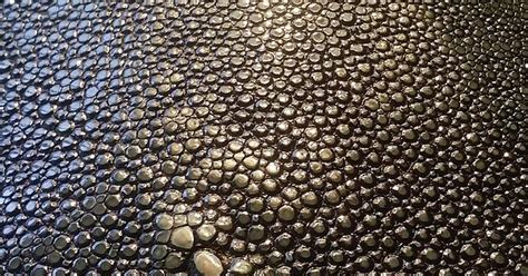 Stingray Hide Is Pretty Amazing Stuff Album On Imgur