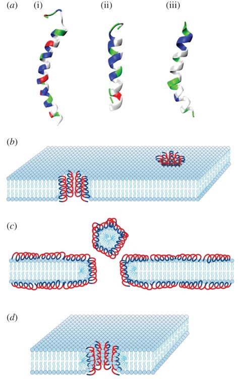 What Can Machine Learning Do For Antimicrobial Peptides And What Can Antimicrobial Peptides Do