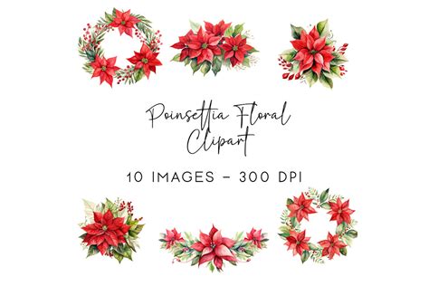 Poinsettia Watercolor Clipart Illustration Par Kat Trinity Designs · Creative Fabrica
