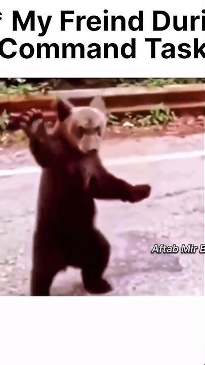 Funny Command Tasks Funnyshorts Funny Youtubeshort Ytshorts Shorts