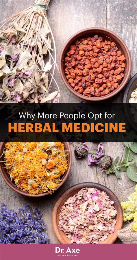 Top 10 Herbal Medicine At Kathy Carter Blog