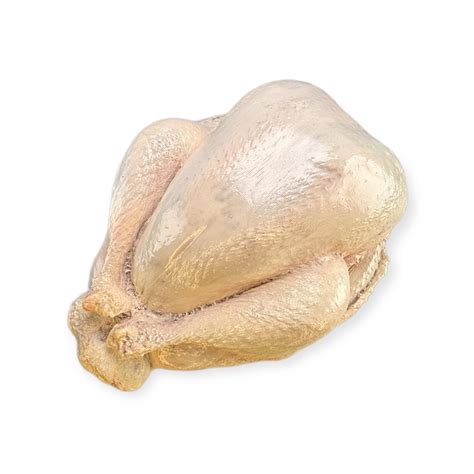 Turkey Raw Replica Ltd