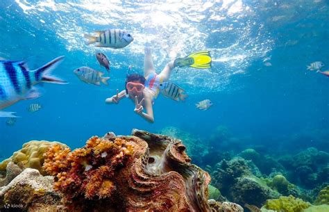 From Pattaya Private Speedboat Nemo Island With Hotel Transfers