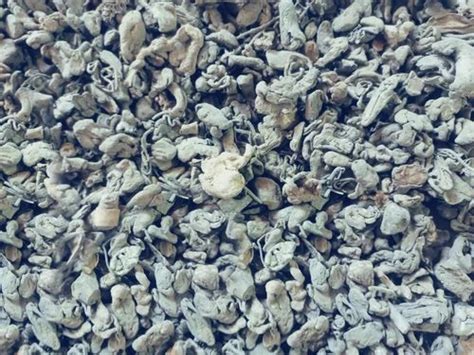 99 Lead Scrap At ₹ 180kg In Faridabad Id 2849207932912