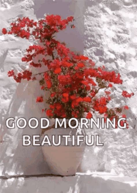 Good Morning Beautiful S