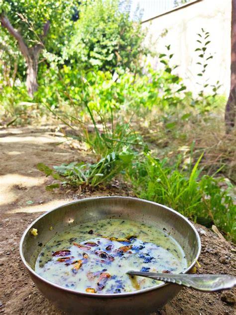 اومدیم جایی آش دوغ و سیب زمینی ذغالی و چای آتیشی گذاشتیم و همزمان