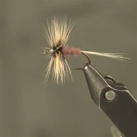 Conover Dette Flies
