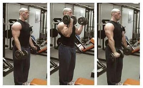 Variación Curl Para Biceps Bíceps Rutinas Antebrazo