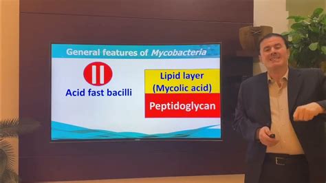 23 Mycobacteria General Features Youtube