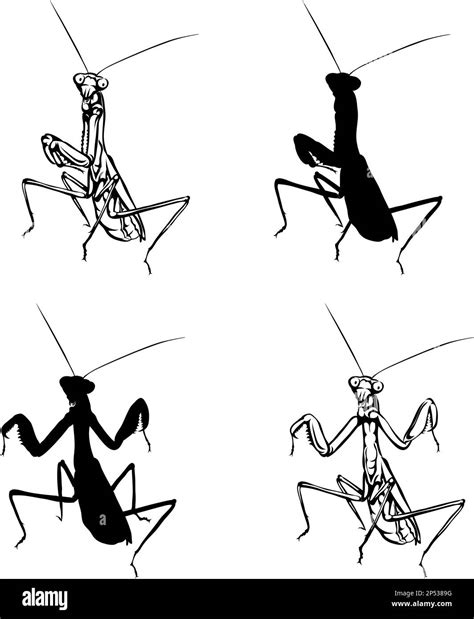 Praying Mantis Silhouette