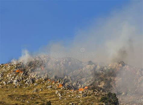 Development Of Forest Fire With Flames Stock Image Image Of Fire Smoke 74692643