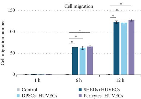 A B The Chemotactic Effects Of Stem Cells From Human Exfoliated