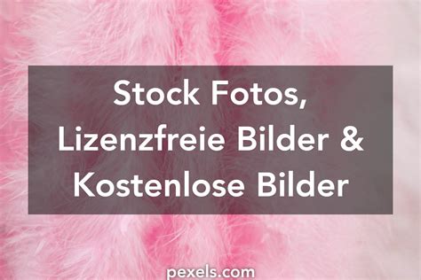 60 000 Sex Wallpaper Bilder Und Fotos · Kostenlos Downloaden · Pexels Stock Fotos