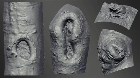 Zbrush Trunk Detail Brushes Vol Flippednormals