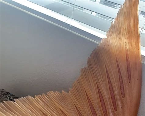 Pin By Crosslyn G Castillo On Mermaid Tail Prosthetics Sydney Opera