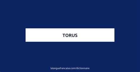 Définition De Torus Dictionnaire Français
