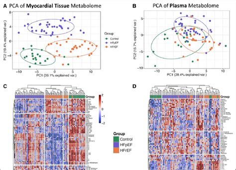 Myocardial Metabolomic Signatures In Hfpef Hfref And Control A Pc