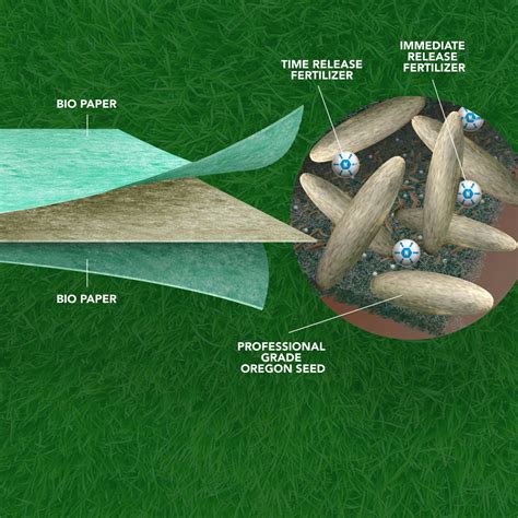 Growtrax New Lawn 200 Sq Ft Roll Grotrax Grass