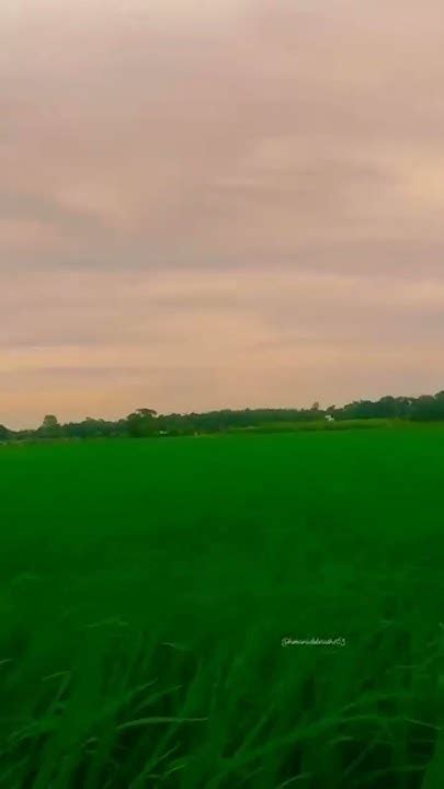 Agriculture Ag12 Youtube