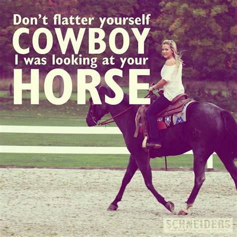 Never Mind The Quote Look How Cute And Massive That Horse Is