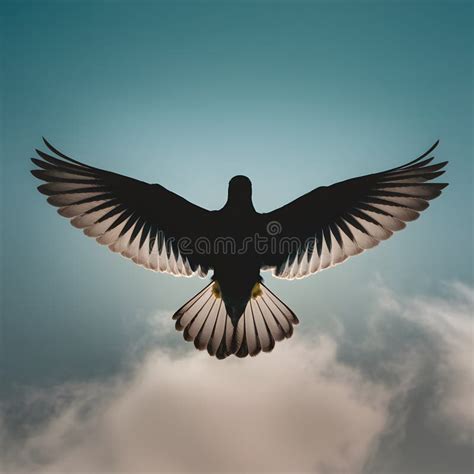 Silhouette Of Bird Flight Details Captured Against Sky Stock