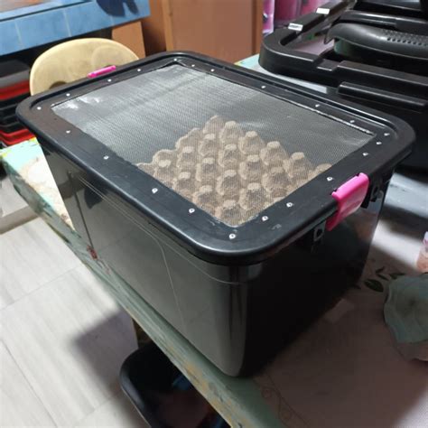 Pet Superworm Pet Mealworm Pet Dubia Pet Roach Bin Enclosure