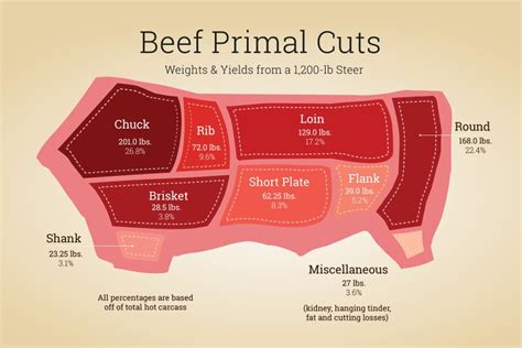 Expected Beef Yield From A Butcher Calf Drovers