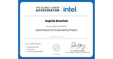 Sophie Brachet On Linkedin Intel Project Data Analysis For