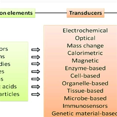Illustration Of Process Of Biosensor Function Download Scientific