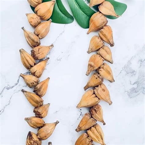 Handmade Natural Seed Polynesian Tongan Traditional Ula Fala Leis