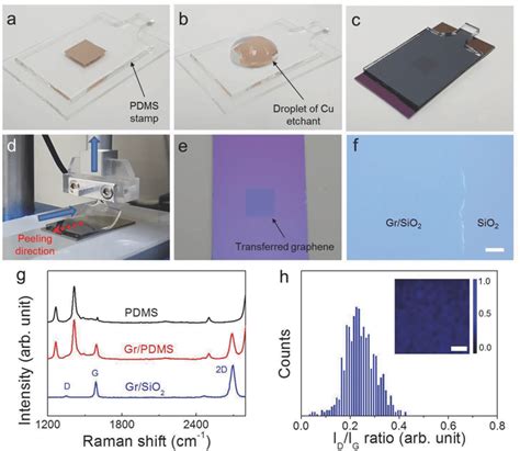 Photographs Of Transfer Printing For Monolayer Graphene To Sio2 Si Download Scientific Diagram