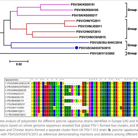 Schematic Bioinformatic Analysis Workflow Used For Identification Of Download Scientific