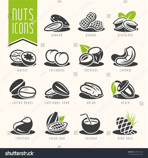 Nuts Icon Set Stock Vector Royalty Free 235191343 Shutterstock