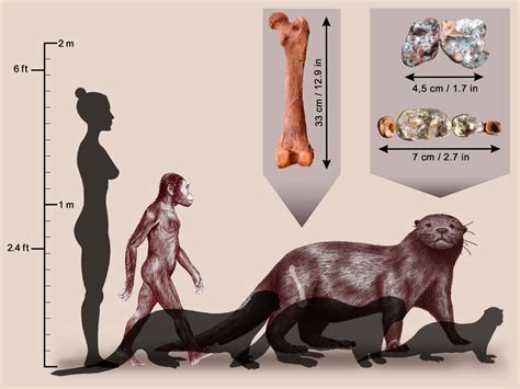 In Prehistoric Ethiopia Otters Were As Big As Lions Sports Hip Hop And Piff The Coli