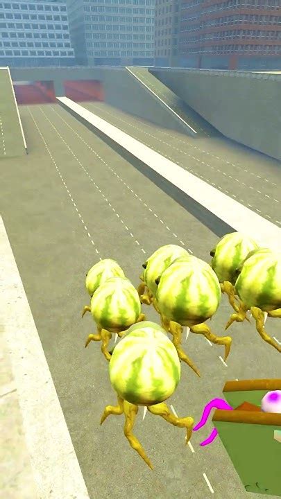All Size Lin Gang Melon Spider Melon Angel Vs Lin Gang Tank Army Memes