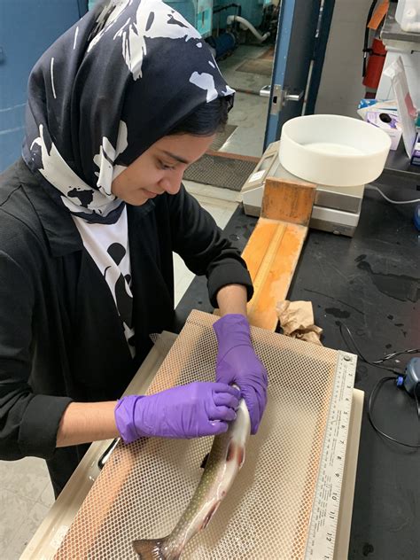 Aiman Raza 2024 Icare Umbc