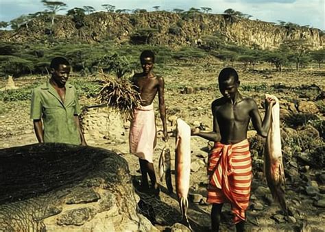 Cá Phổi Châu Phi Có Thể ẩn Mình Trong Lòng đất Vài Năm Mà Không ăn Uống