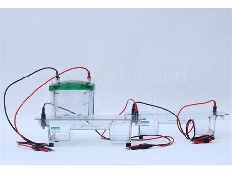 Vertical Electrophoresis Systems Mini Protean® Tetra Cell Nlnp