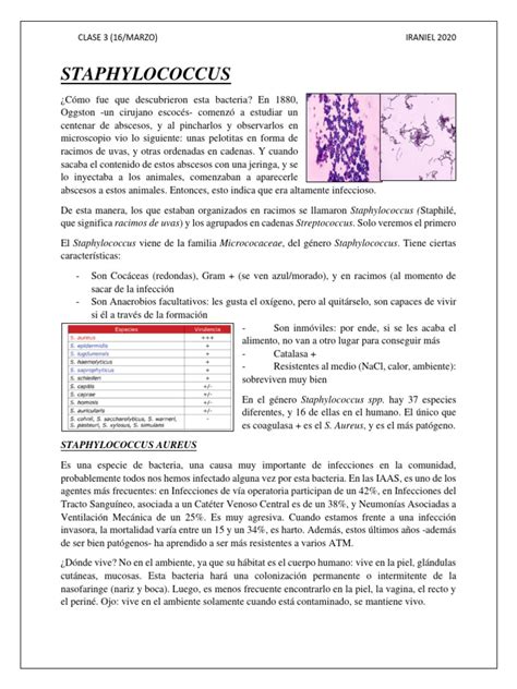 Staphilococcus Pdf Staphylococcus Aureus Infección Del Tracto Urinario