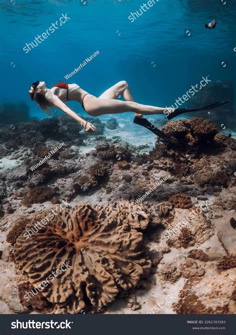 Sexy Underwater Scuba Diving