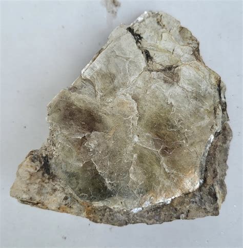 Muscovite Mineral Eisco Raw Muscovite Mica Mineral Specimen Approx