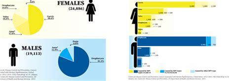 Estimated Annual Number Of Cancer Cases Attributable To Hpv By Sex