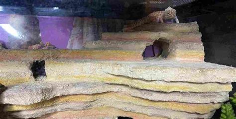 How To Make A Moist Hide For Leopard Geckos (Humid Hide)