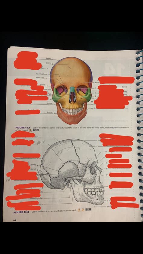 Bones Of Skull Pt 2 Diagram Quizlet