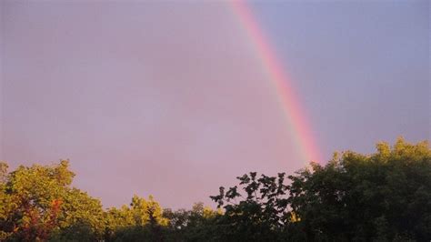 무지개 자연 Pixabay의 무료 사진 Pixabay